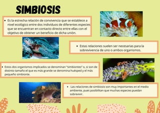 Simbiosis Ejemplos