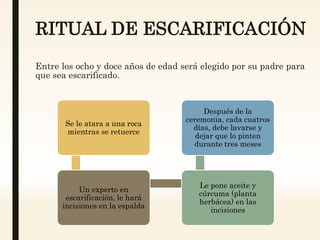 Cultura Tchambuli | PPT