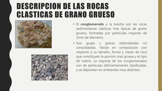 TEXTURA Y DETERMINACION DE ROCAS SEDIMENTARIAS | PPTX