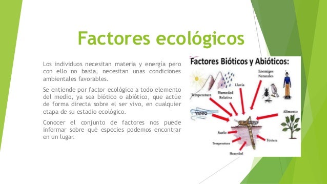 Factores ecológicos