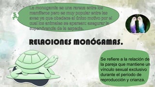 Asociaciones familiares | PPTX