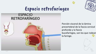 Grupo 5 Anatomia humana_ inervación e irrigación cuello | PPTX