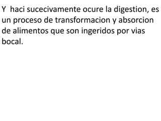 Grupo 5 el sistema digestivo | PPSX