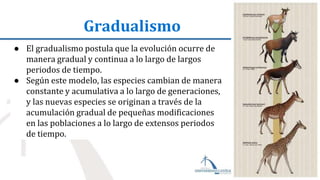 Grupo5presentaciondeEvoluciondarwin.pptx
