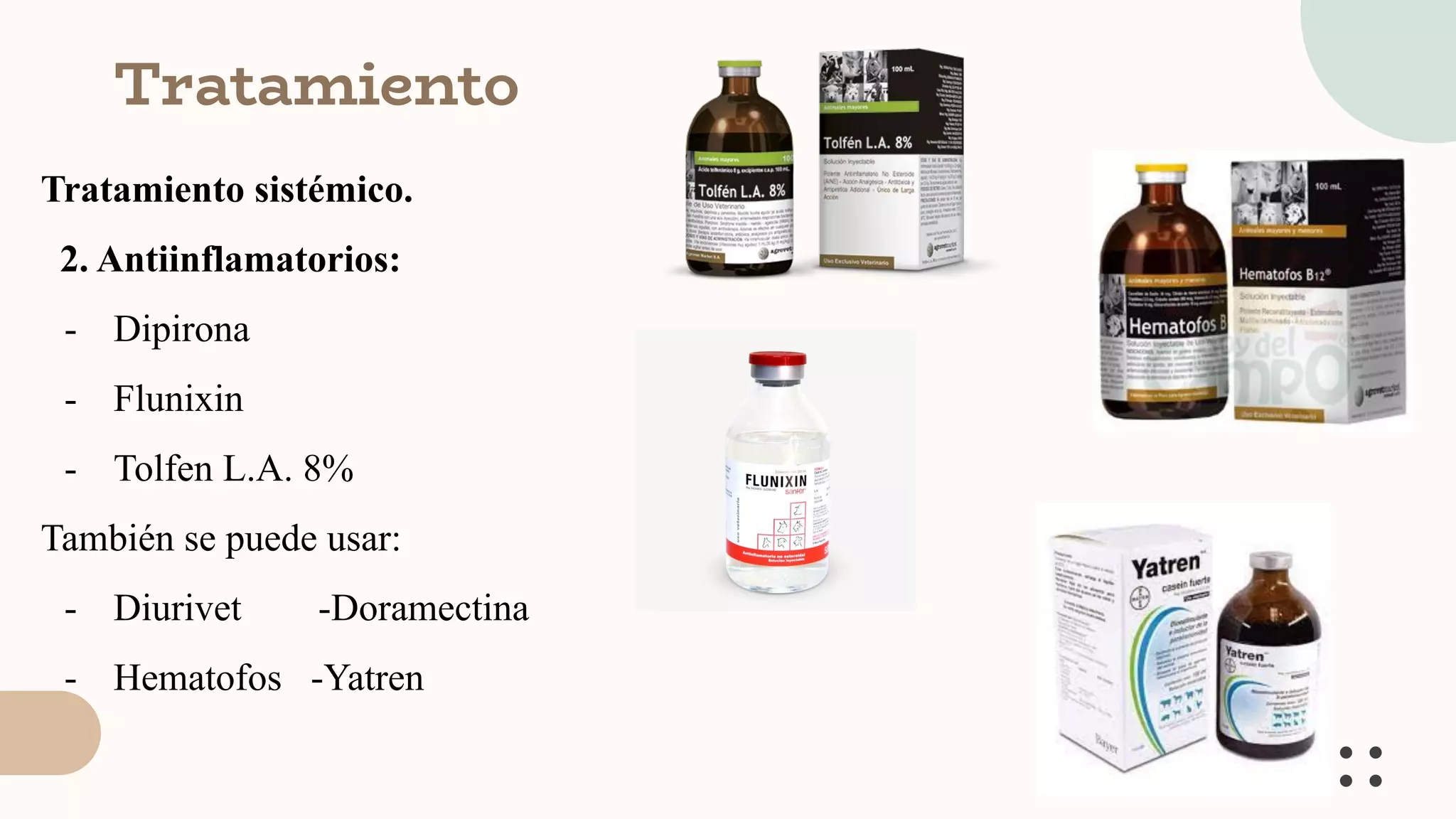 Onfalitis (Onfaloflebitis, Onfaloarteritis) | PDF