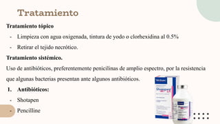 Onfalitis (Onfaloflebitis, Onfaloarteritis) | PDF
