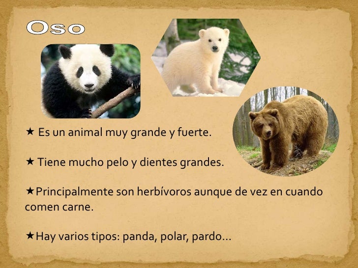 ANIMALES: Caracteristicas