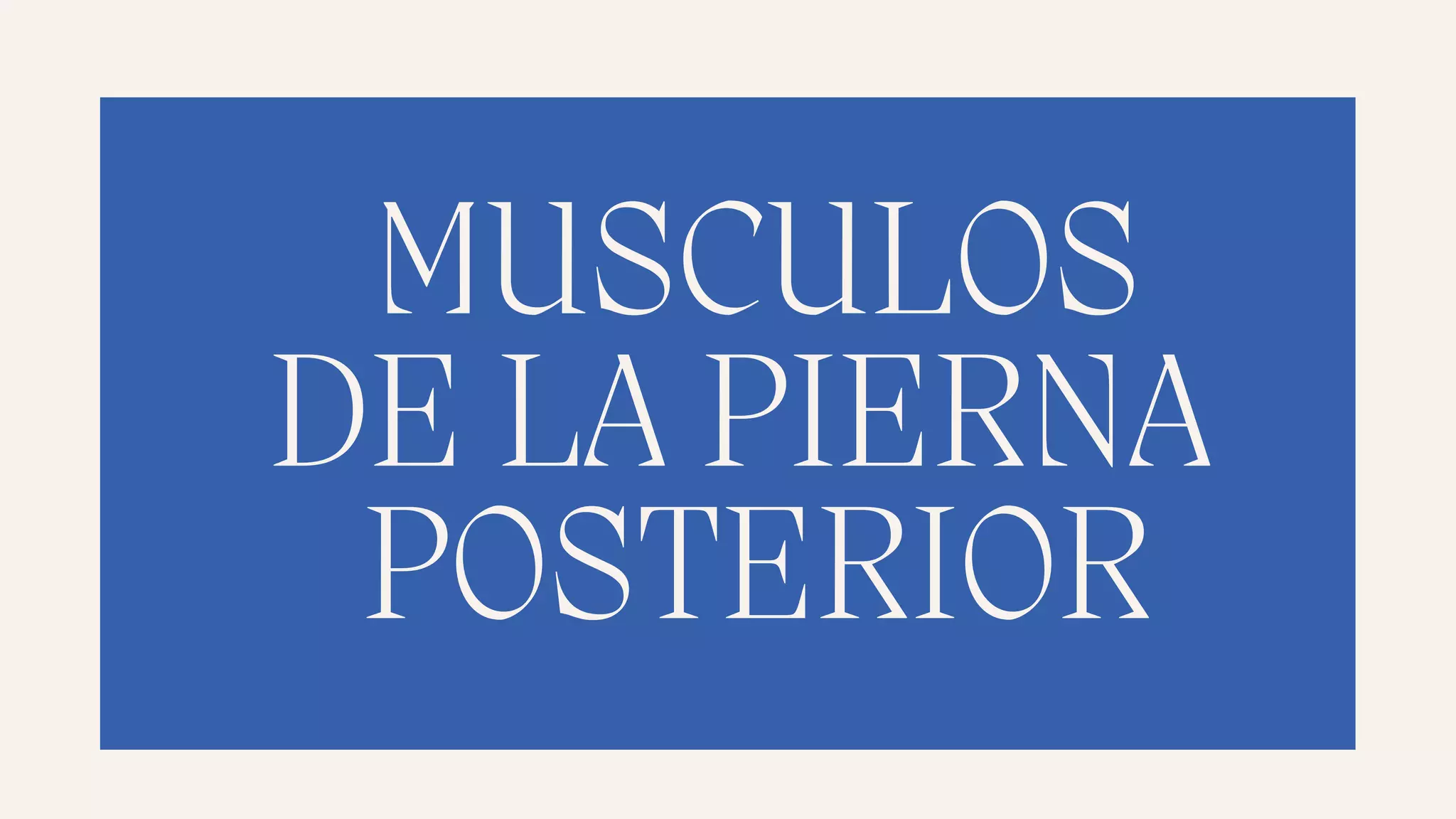 GRUPO6-MUSCULOS POSTERIORES DE LA PIERNA.pdf
