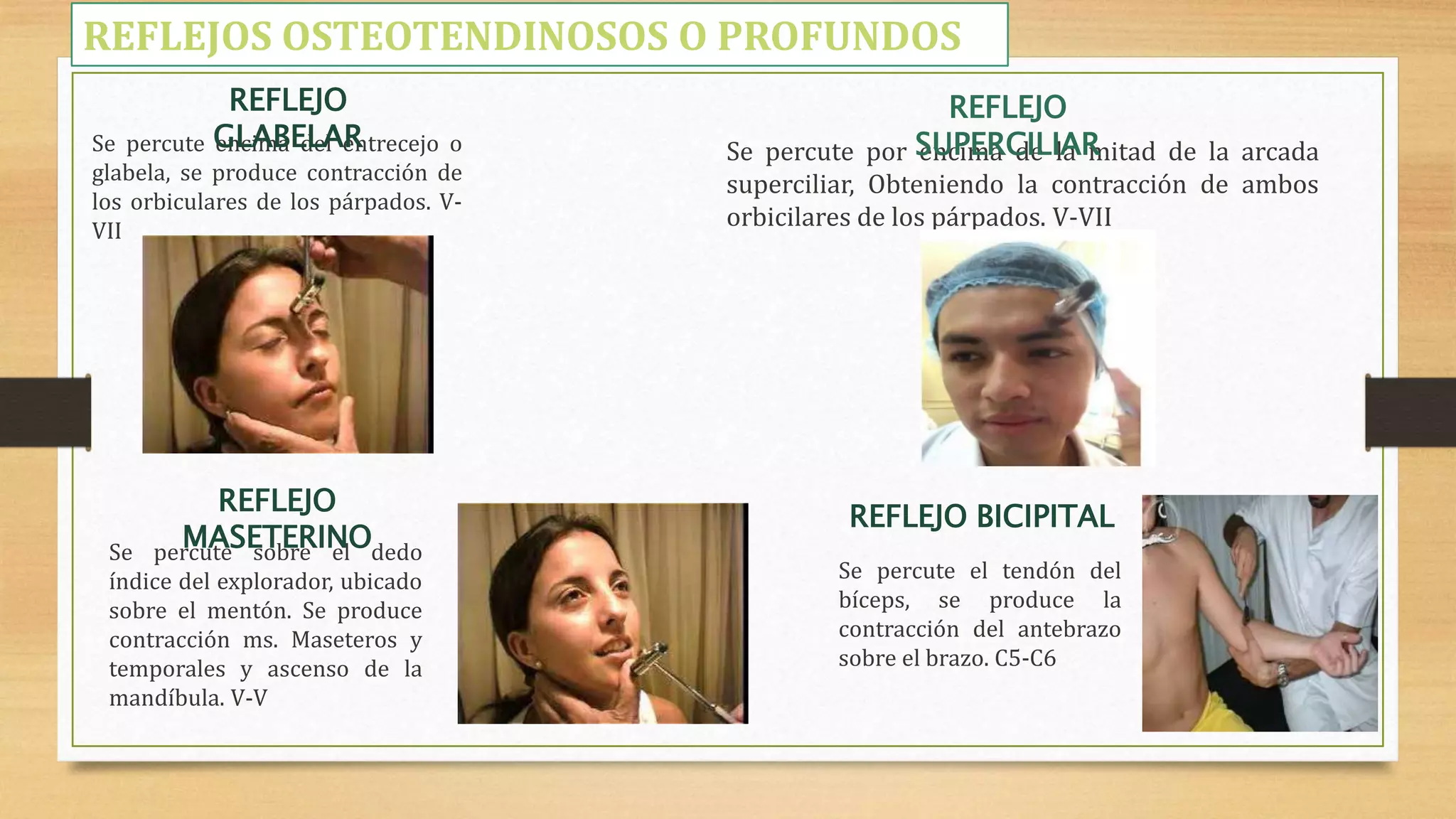grupo 6 semiologia reflejos osteotendinosos.pptx