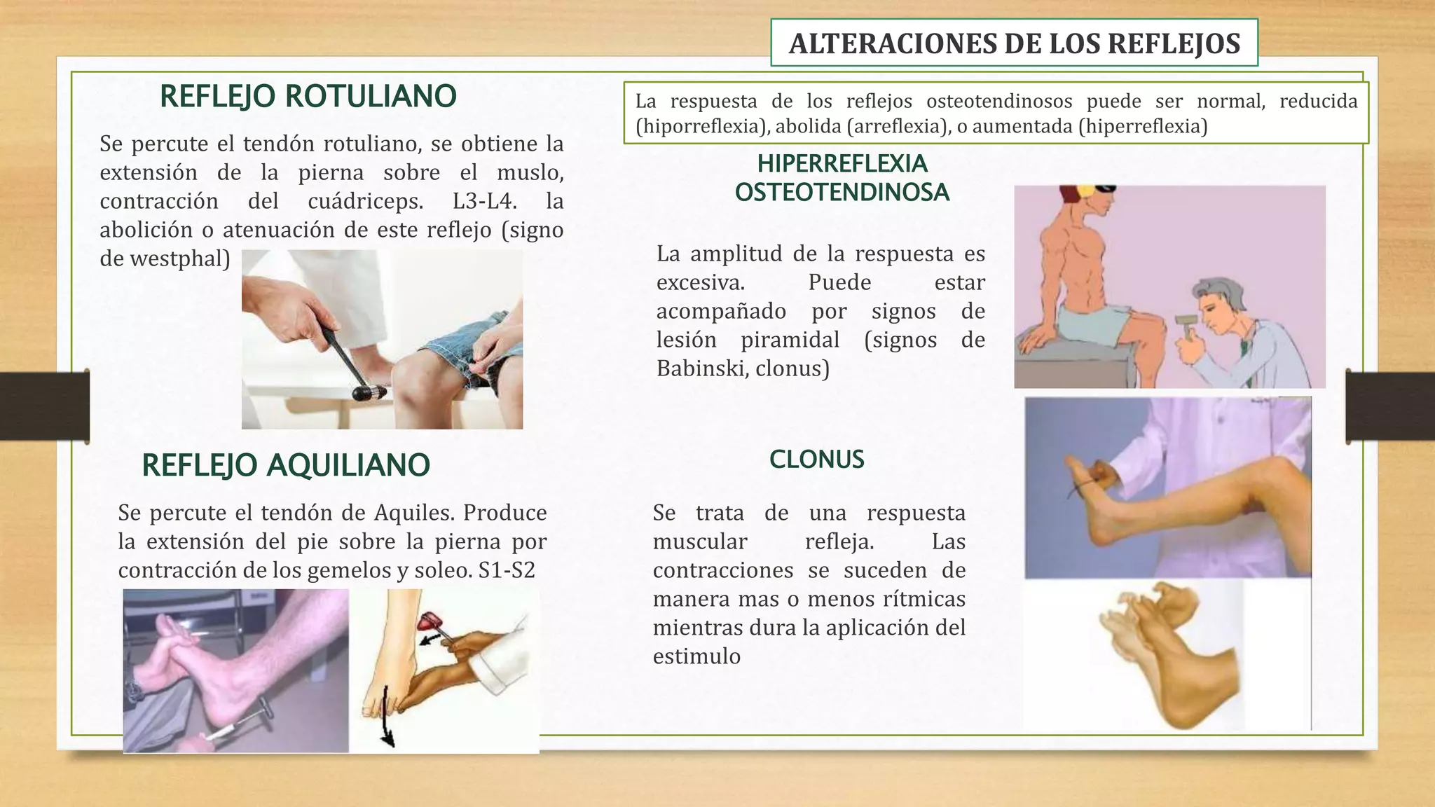 grupo 6 semiologia reflejos osteotendinosos.pptx