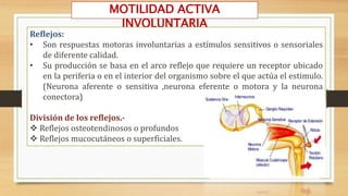 grupo 6 semiologia reflejos osteotendinosos.pptx