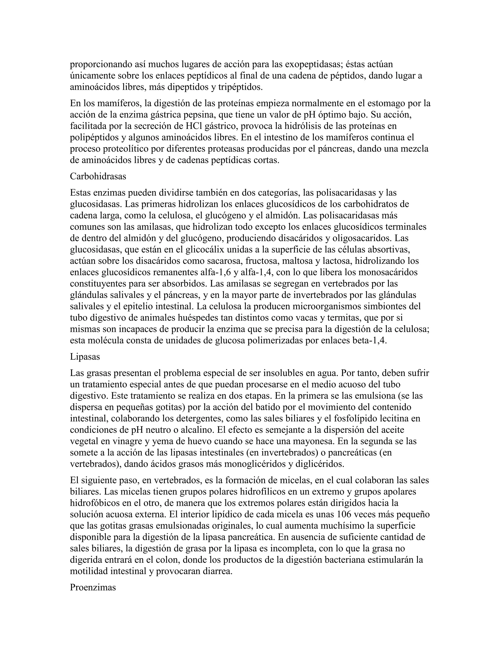 Grupo 7 acción de las enzimas digestivas | DOCX