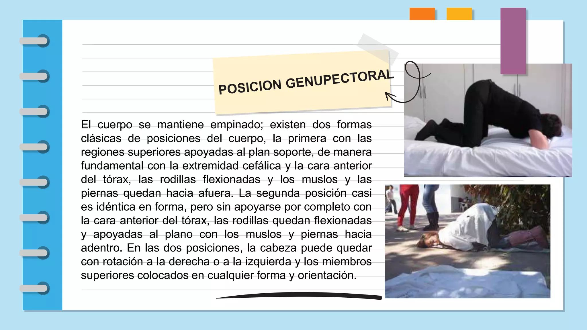 GRUPO 7 ANATOMIA.pptx.ppt