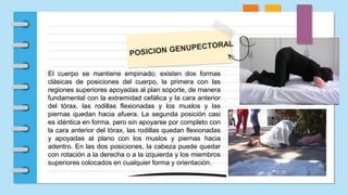 GRUPO 7 ANATOMIA.pptx.ppt