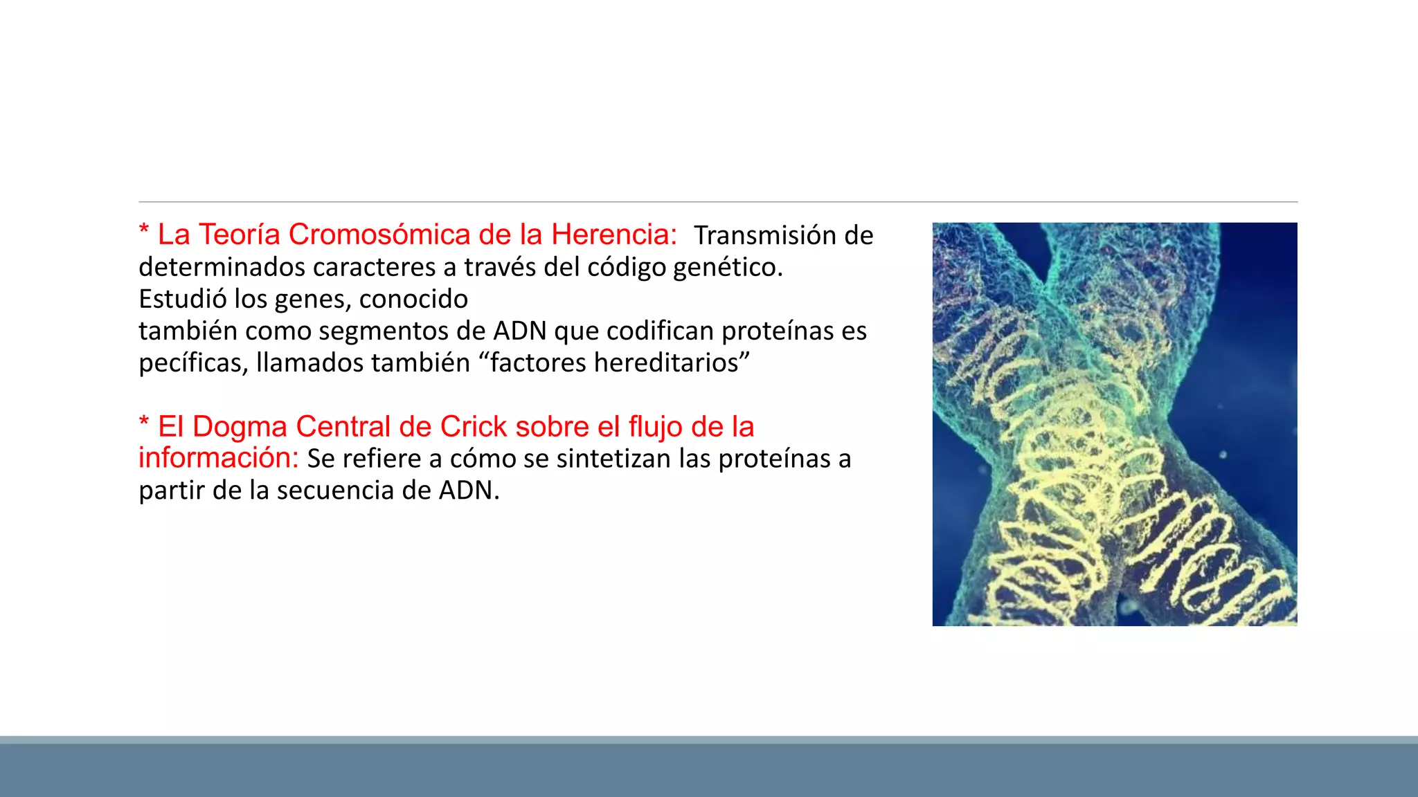 Biofisica con sus ciencias afines (Biología y Física) | PPT