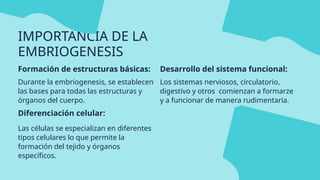 grupo7embriogenesis formacion de los orhanos del cuerpo.pptx