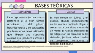 USO DE LA ORTIGA PARA EL ALIVIO DE SIGNOS Y SINTOMAS | PPTX