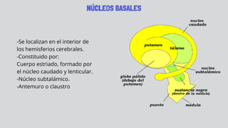CUIDADOS DE ENFERMERÍA EN TRASTORNOS NEUROLÓGICOS | PDF