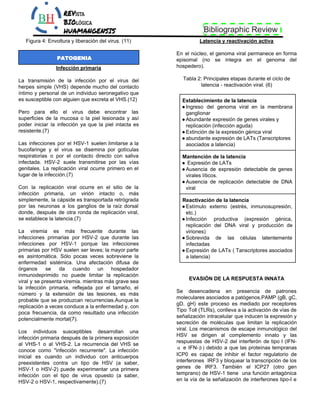 VIRUS DEL HERPES SIMPLE I Y II | PDF