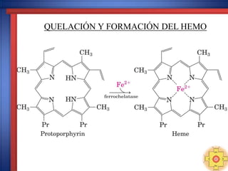 Grupo HEMO | PPTX