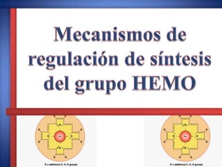 Grupo HEMO | PPTX