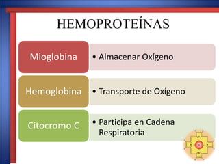 Grupo HEMO | PPTX