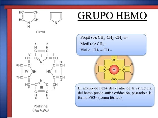 Grupo HEMO