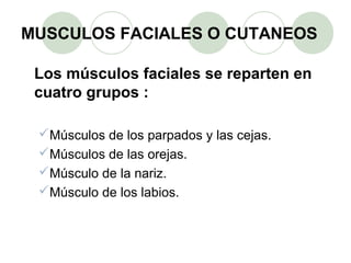 Grupo musculos faciales | PPT