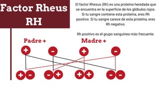 Grupo sanguineo y Factor RH | PPTX