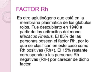 Grupo sanguineo (mariela) | PPTX