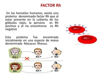 Grupo sanguíneo virtual (1).ppt