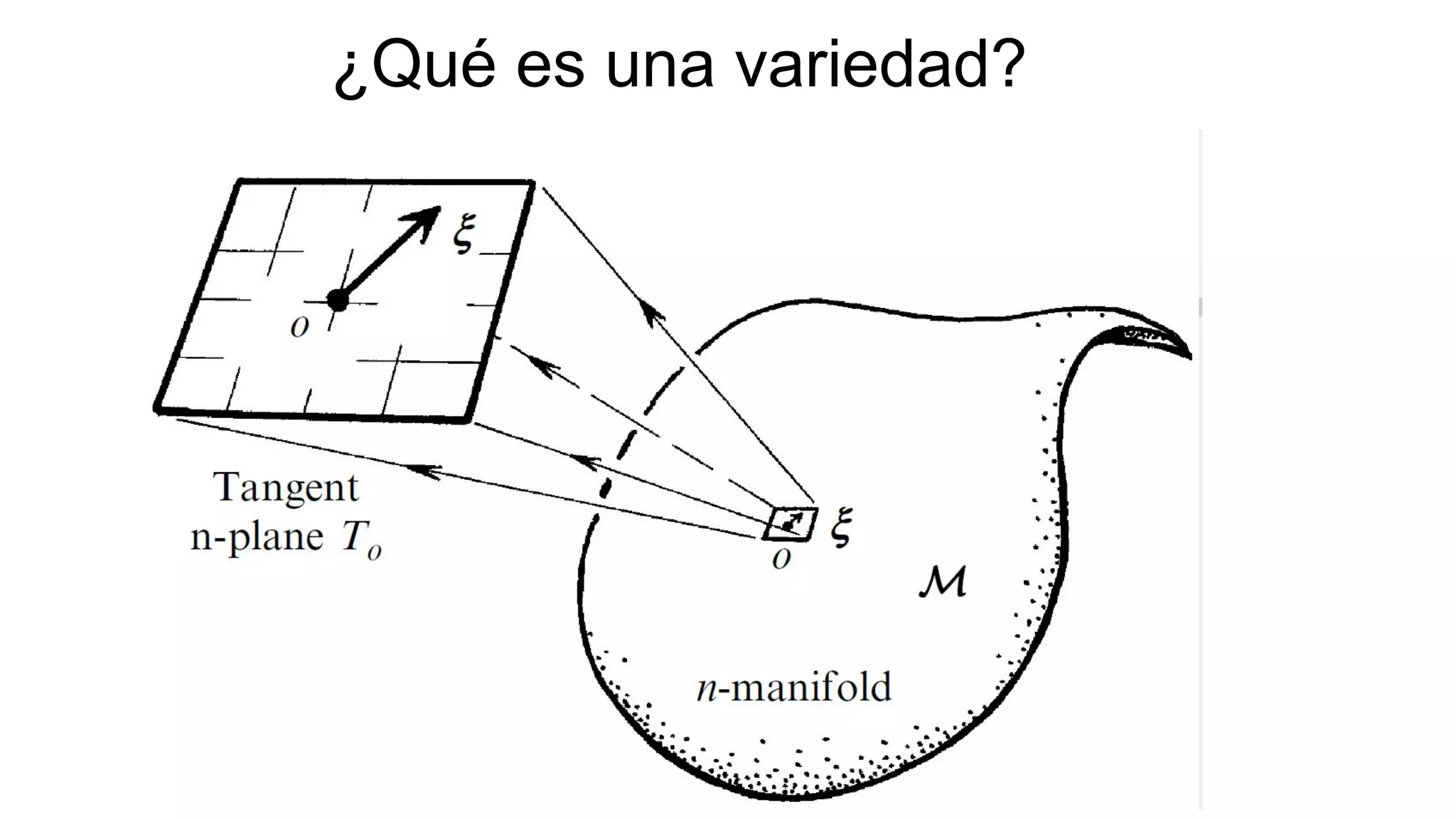 Grupos de Lie y Curvatura (Efraín vega) | PPT