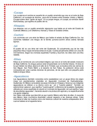 Grupos etnicos de mexico | DOCX