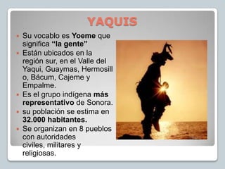 Grupos indígenas de sonora | PPTX