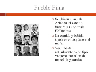 Grupos indígenas de sonora | PPTX