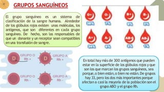 grupossanguineosyfactorRh positivo y negativo | PPTX