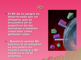 Grupos sanguíneos | PPT