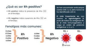 GRUPOS SANGUÍNEOS Y FACTOR RH | PDF