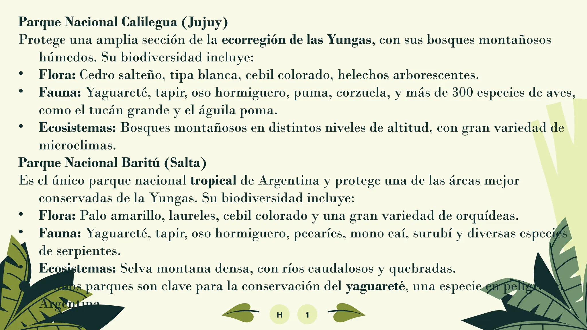 las Yungas y la problemáticas ambientales y su biodivercidad | PPTX