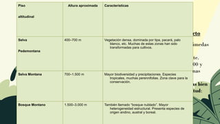 las Yungas y la problemáticas ambientales y su biodivercidad | PPTX
