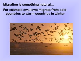 Migrations | PPT