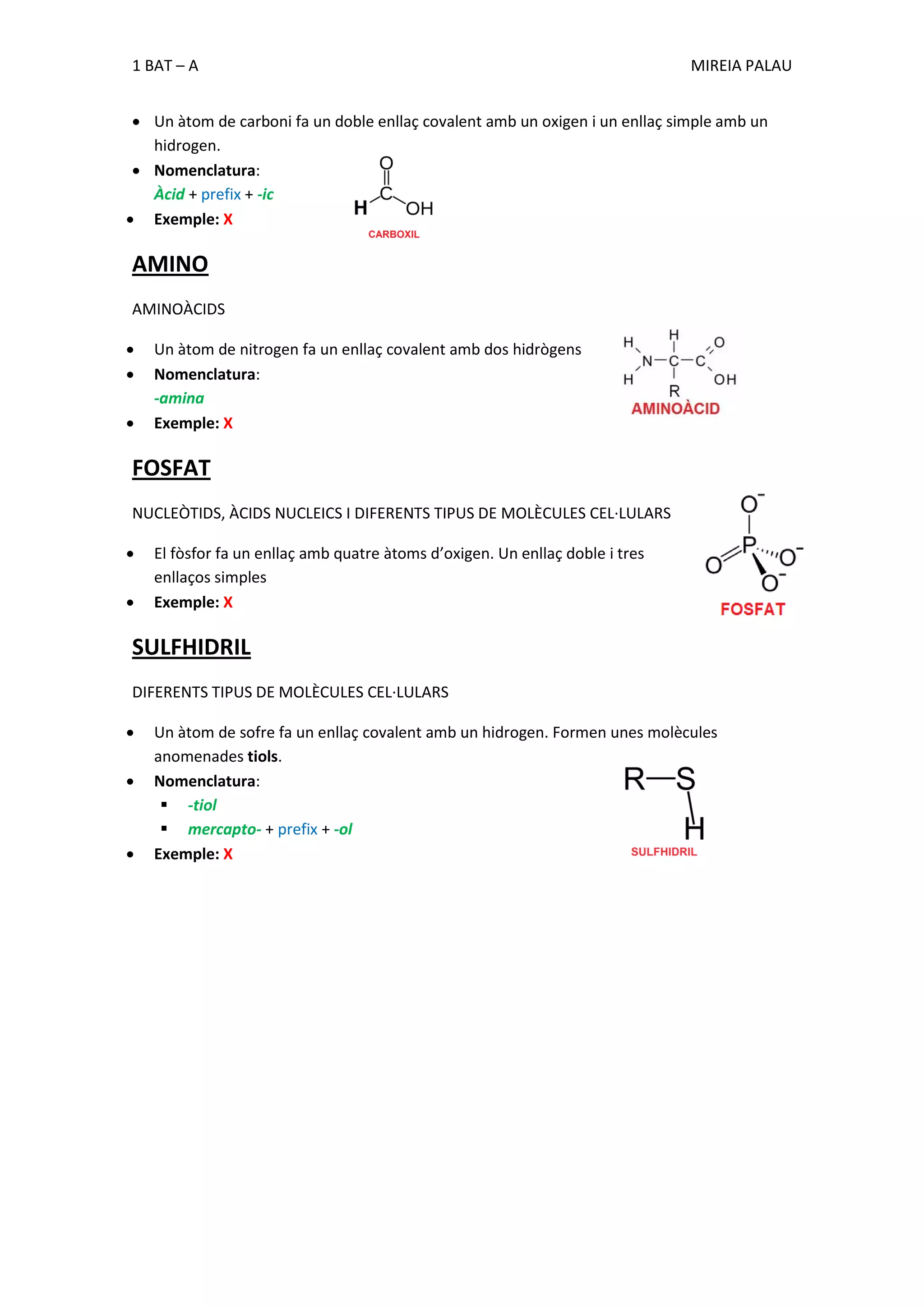 Grups funcionals | PDF