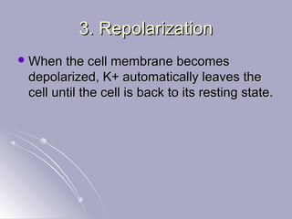 NEURONS (TYPES OF NEURONS) | PPT