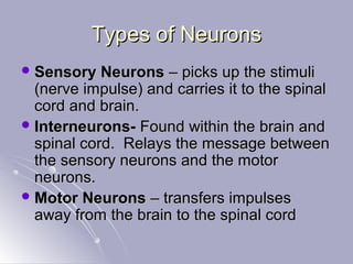 NEURONS (TYPES OF NEURONS) | PPT