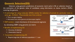 Genomic Selection in dairy cattle breeding -An overview | PDF