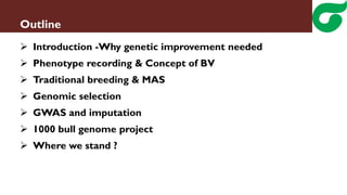 Genomic Selection in dairy cattle breeding -An overview | PDF
