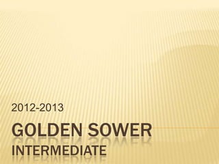 Golden Sower.Intermediate.12.13 | Dogs | Pets