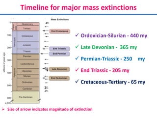 GS303_L6_Major-Mass-Extinction.pptx | Geology | Science