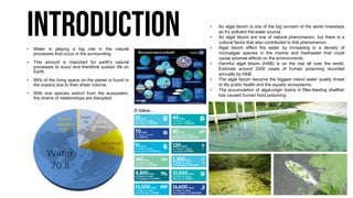 The effect of cultural activities to eutrophication or algal bloom | PPT