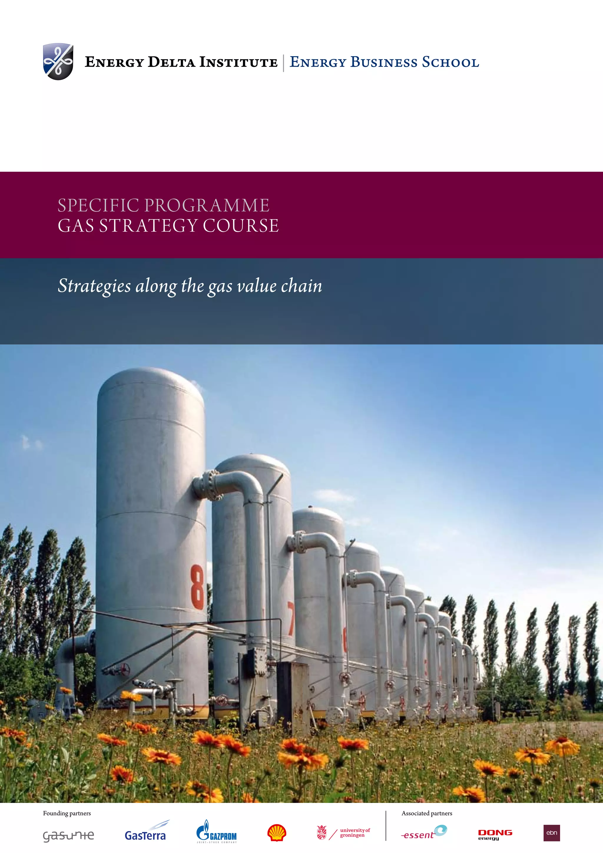 Gas Strategy Course | PDF | Business Administration | Business